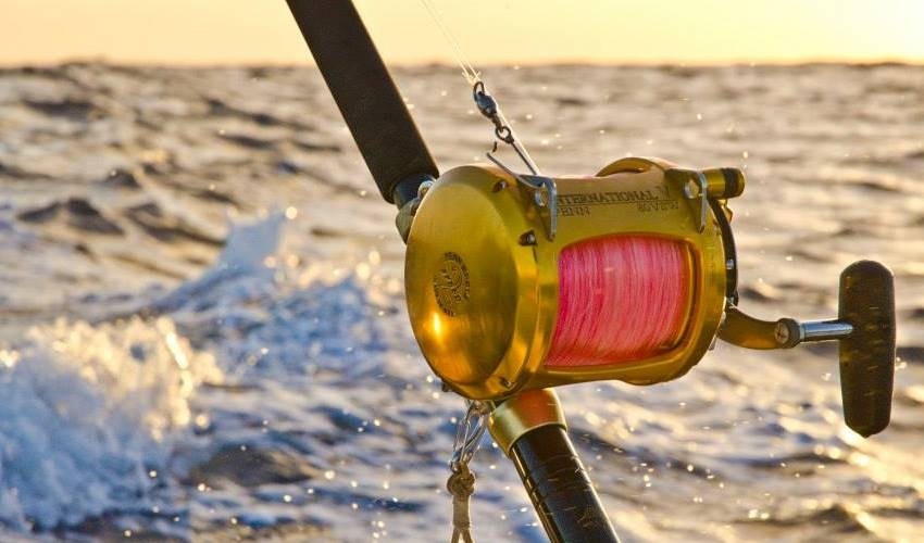 Small Game Fishing (Private) | Fish Whisperer