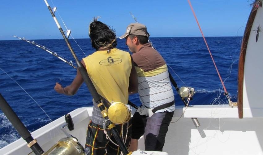 Big Game Fishing Half day (Private) I Victory Cruises