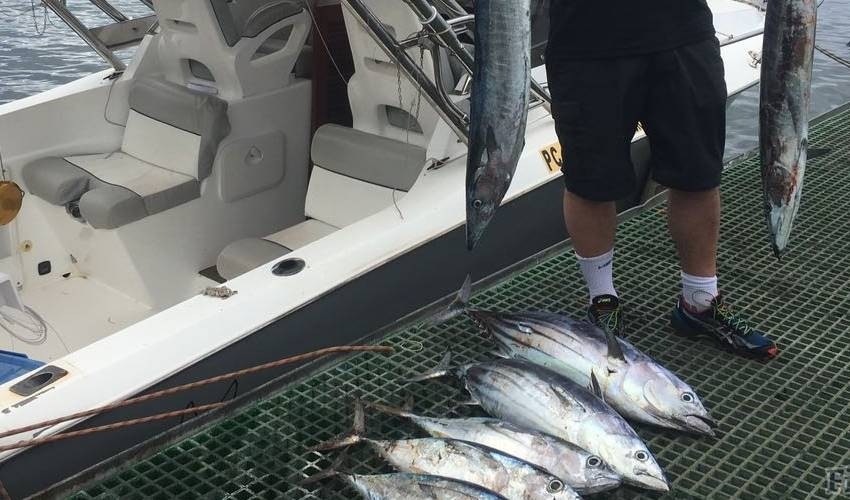 Small Game Fishing (Private) | Fish Whisperer