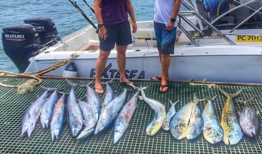 Small Game Fishing (Private) | Fish Whisperer